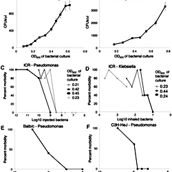 Determination of bacterial challenge dose.