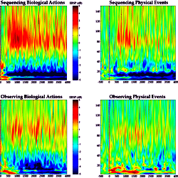 Time/Frequency maps.