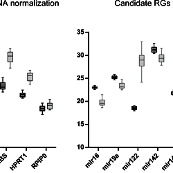 Range of quantification cycle (Cq) values of the candidate reference genes.