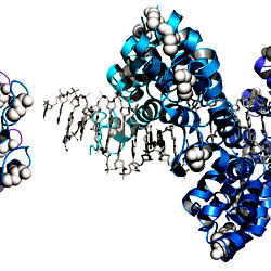 TAL effector structure.