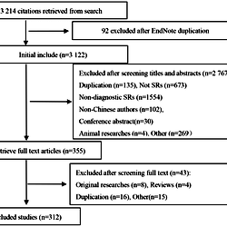 Flow chart of article screening and selection process.