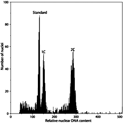 Histogram of relative nuclear DNA content – example.