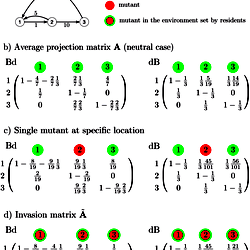 Example of matrix population models for graphs.