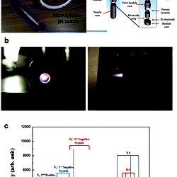 The microplasma jet system and its optical emission spectrum.