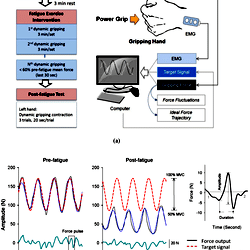 Experiment procedure, system setup, and data recording.