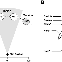 Target Positions and Marker Placement.