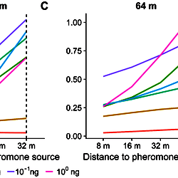 Overall coding accuracy (average Fisher information) is higher for the ...