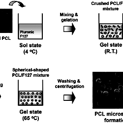 Schematic showing the fabrication process of PCL microspheres by an ...