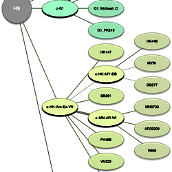 Annotation tree for LABEL's H9N2 annotation module.