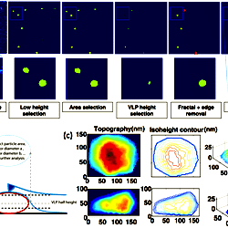 Automated image analysis.