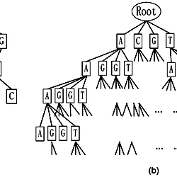 An example of a suffix tree and a tree representation of pattern space.