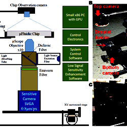 Portable fluorescence microscope system.