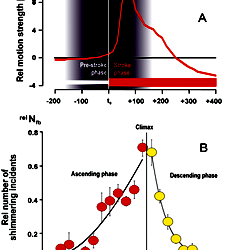 Definition of a shimmering incident and of the three phases of a ...