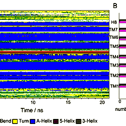 Secondary structure analysis for the FSHR I1 and I2 variants.