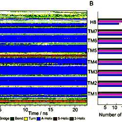 Secondary structure analysis for the FSHR M1-3 mutants.