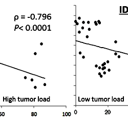 Graph of the BMPC% versus percent contrast.