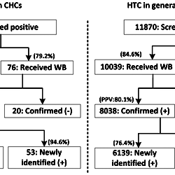 Flow chart of HTC cascade, testing in CHC's and in general hospitals in ...