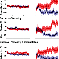Manipulation of the gradient in Experiment 2.