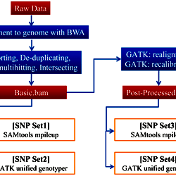 Pipelines for calling single nucleotide variants (SNVs). SNVs were ...