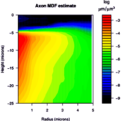 Heat map of the logarithm of the estimated morpho-density in Figures 3 ...