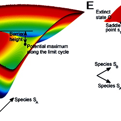 The schematic diagram for the ecological models.