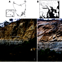 Geographic and stratigraphic occurrence of Tasmaniosaurus triassicus.