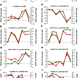 Validation of the microarray data with real-time qRT-PCR.