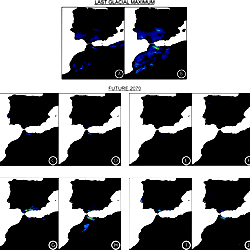 MaxEnt distribution map showing the environmental suitability (A–J) for ...