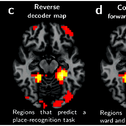 Maps for the different inference types.