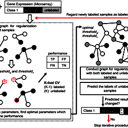 Detailed workflow to determine the optimal parameter set.