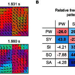 Tracking pattern evolution dynamics.