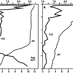 Water column profiles West Lagoon, Palmyra Atoll, for H2S (solid line ...