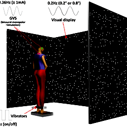Experimental setup showing standing subject with simultaneous visual ...