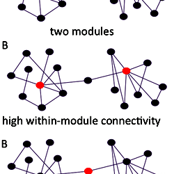 Schematic representation of modularity and modular connectivity.