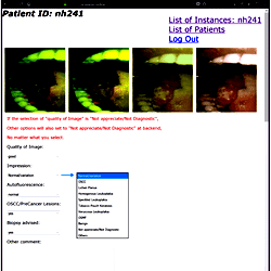 Sample web portal screen for remote viewing and diagnosis of images.