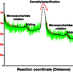 Schematic representation of the potential energy changes during Ec-PME ...