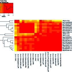 Heat map and hierarchical clustering tree of Spearman rank correlations ...