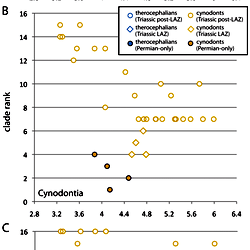 Spearman's rank correlation tests on clade rank (A, B) and patristic ...