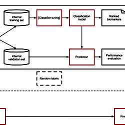 Machine learning analysis pipeline.