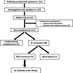 Flow chart of the cardioversion.
