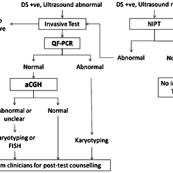Proposed workflow for replacing karyotyping with aCGH in prenatal ...