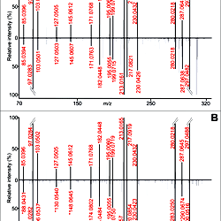 Confirmation of the identity of FGAR.