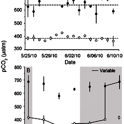 Mean daily and hourly pCO2 of treatment conditions.