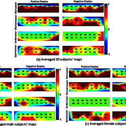 The averaged maps (over 20 subjects) for 4 categories of positive and ...