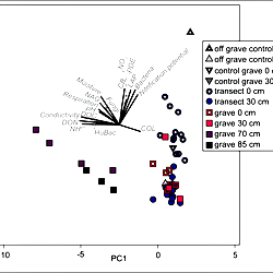 Principal components analysis of grave soils showing a clear difference ...