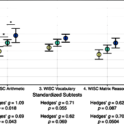 Mean scaled scores for each group of criterion subtests.