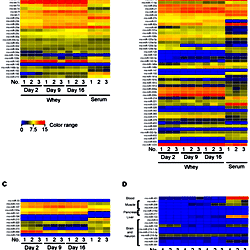 Heat maps of selected miRNAs from microarray data (detected or not).