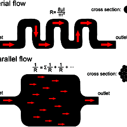 Example of flow in a hypothetical, serial pipe (top) vs. a parallel ...