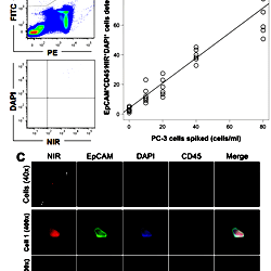 Calibrating the CTC detection method.