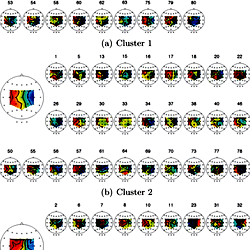Illustration of the common spatial patterns of the subjects belonging ...
